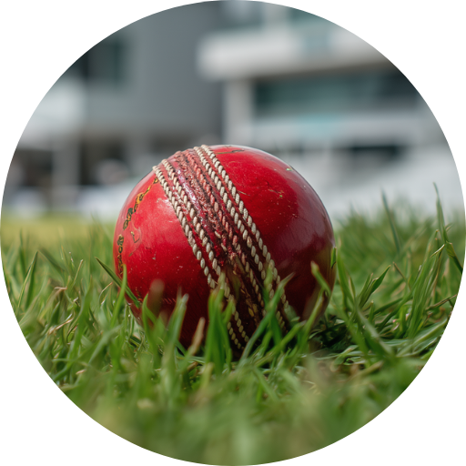 My Cricket Stats | Track Your Amateur Cricket Performance